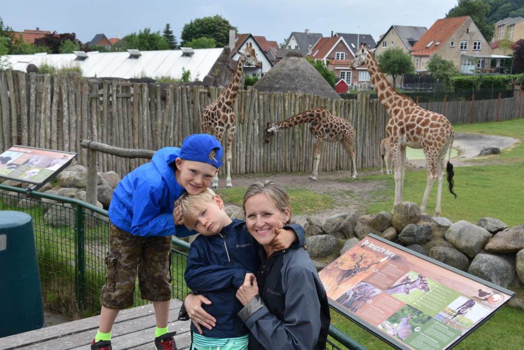 Top 5 Zoos in Denmark (Funen and Jutland) - My New Danish Life