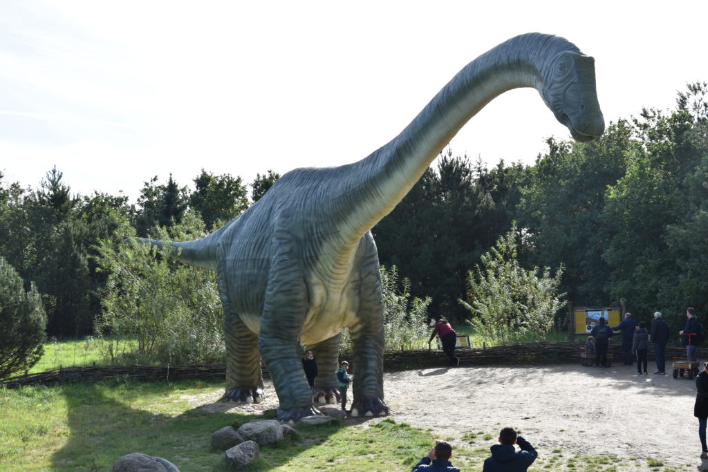 Top 5 Zoos in Denmark (Funen and Jutland) - My New Danish Life
