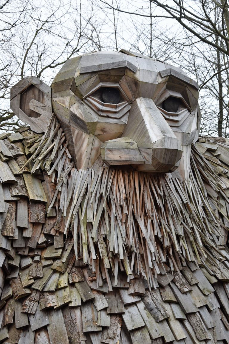 Finding the Rest of the Forgotten Tree Giants of Copenhagen - My New ...