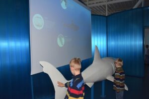 Kattegatcentret Aquarium (Grenaa, Denmark) - My New Danish Life