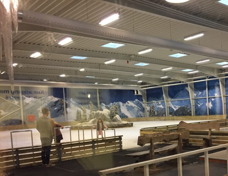 Lalandia: Scandinavia's Largest Indoor Water Park - My New Danish Life