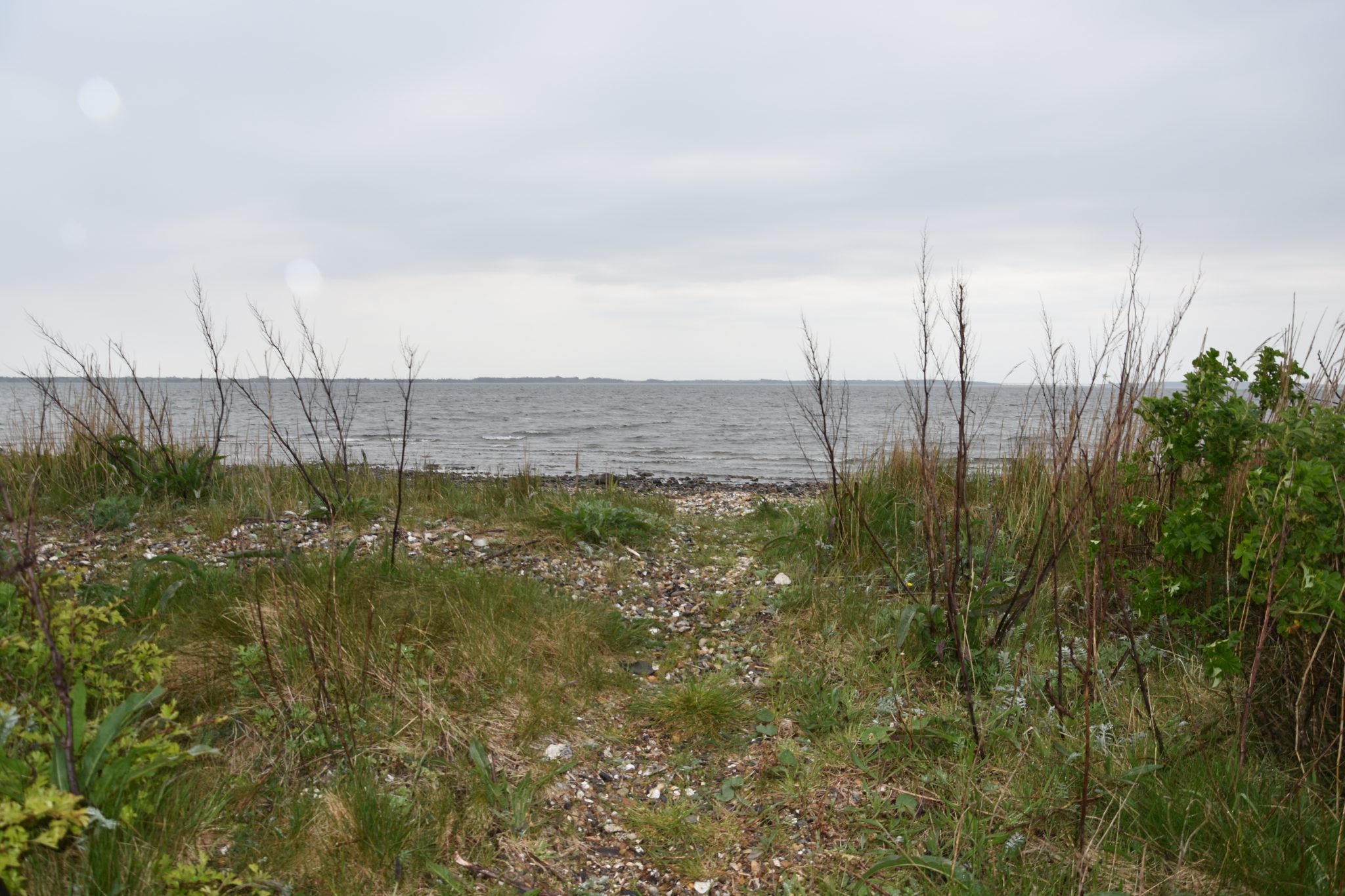 Exploring the Island of Fur (Denmark) - My New Danish Life